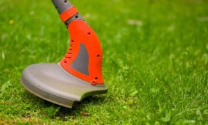 Top 15 Best String Trimmers 2022: Reviews by Yardening Pulse