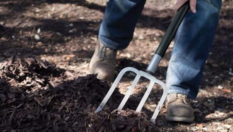 20 Most Essential Gardening Tools You Should Have