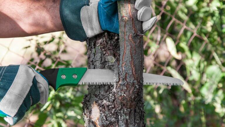 20 Most Essential Gardening Tools You Should Have