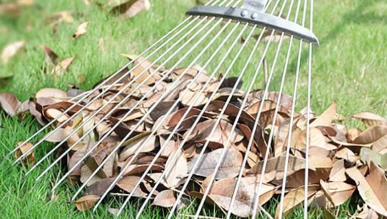 20 Most Essential Gardening Tools You Should Have: The Complete List